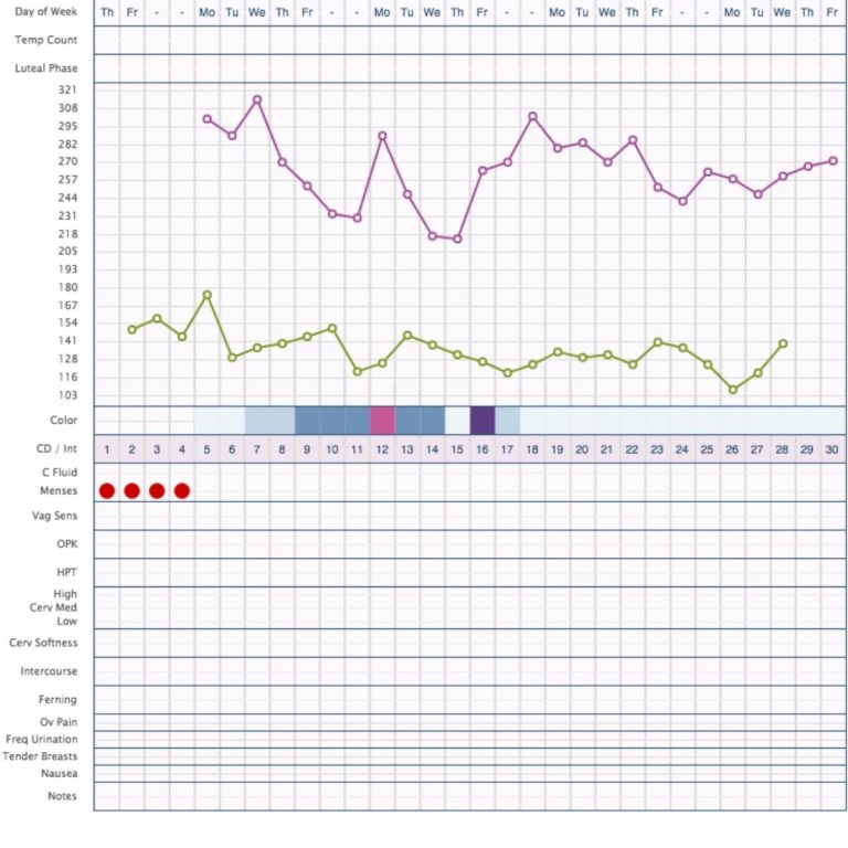 How Tracking Fertility with a Monitor Changed My TTC Journey