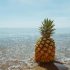 IVF & Pineapple? Why This Fruit Is a Symbol of Hope for Infertility