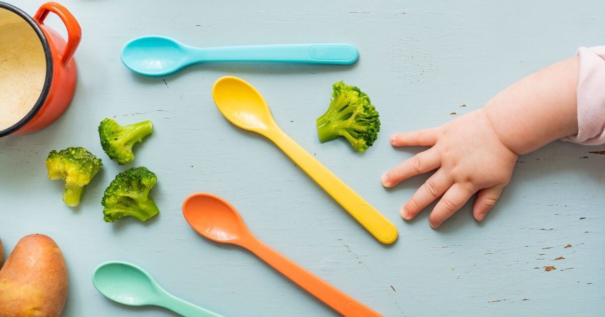 How to Make Baby Food The Homemade Way: Your Go-to Guide