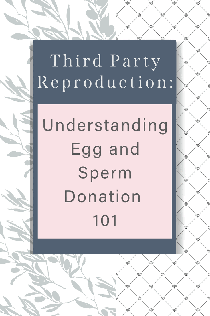 Third Party Reproduction: Understanding Egg and Sperm Donation 101