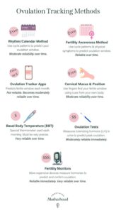 How to Track Ovulation: Expert Guide to 7 Tracking Methods